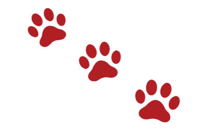 Howelly signs on for 2025 — Avoca Football Netball Club