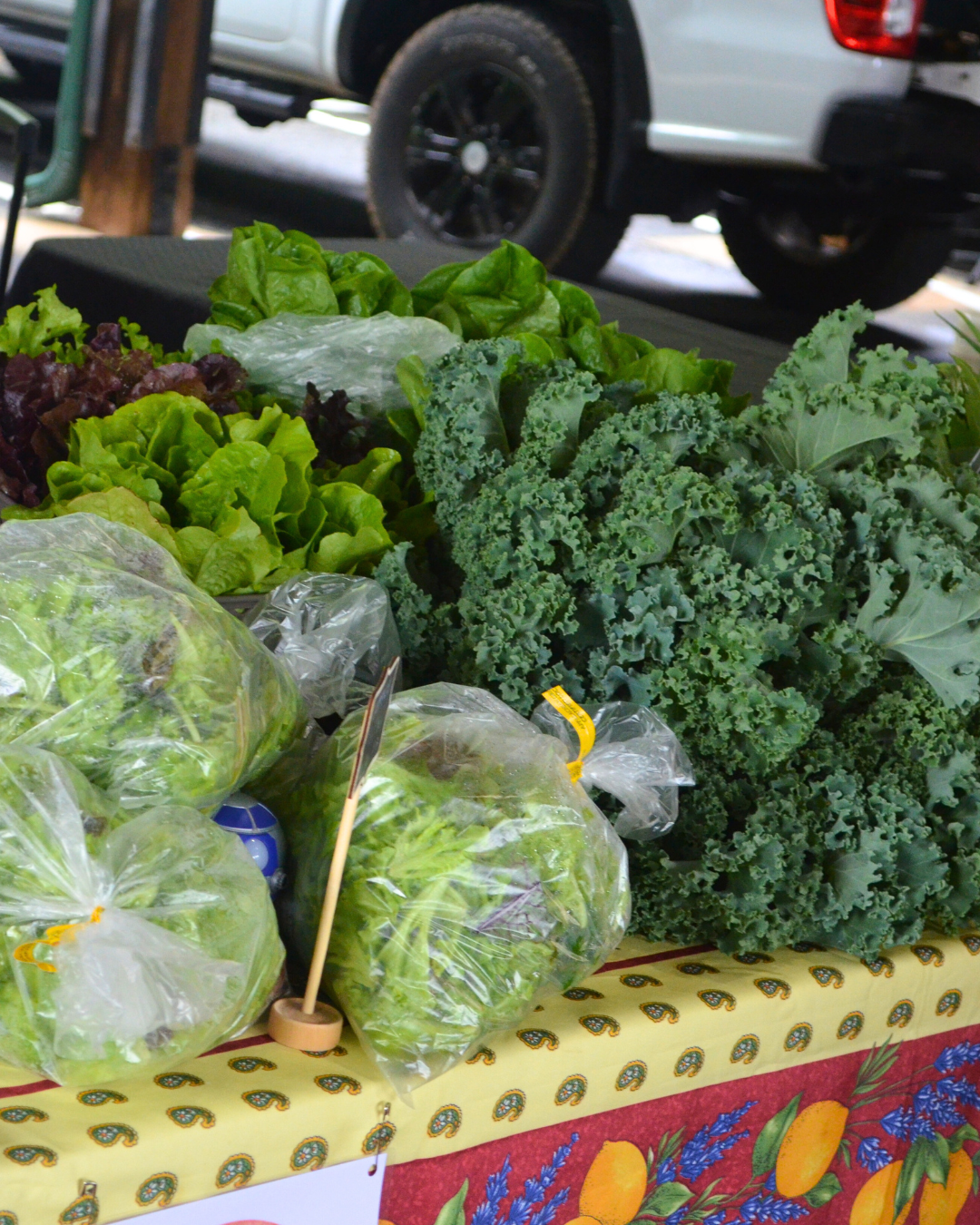 Contact 3 — McDowell Local Food Advisory Council