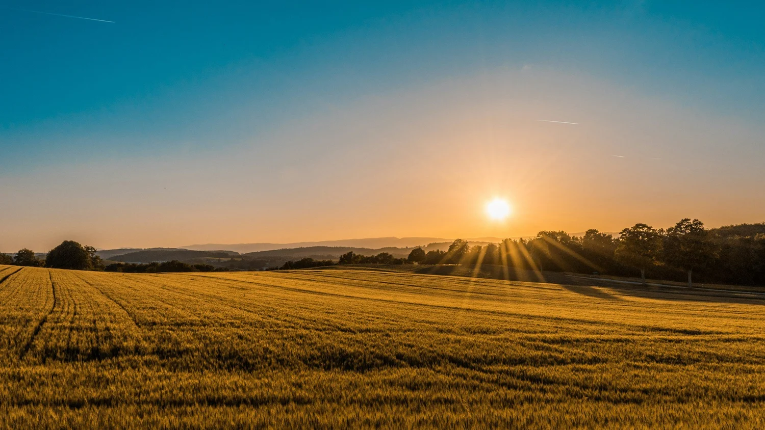 Mammoth Solar Project | Learn More About Sustainable Solar Solutions