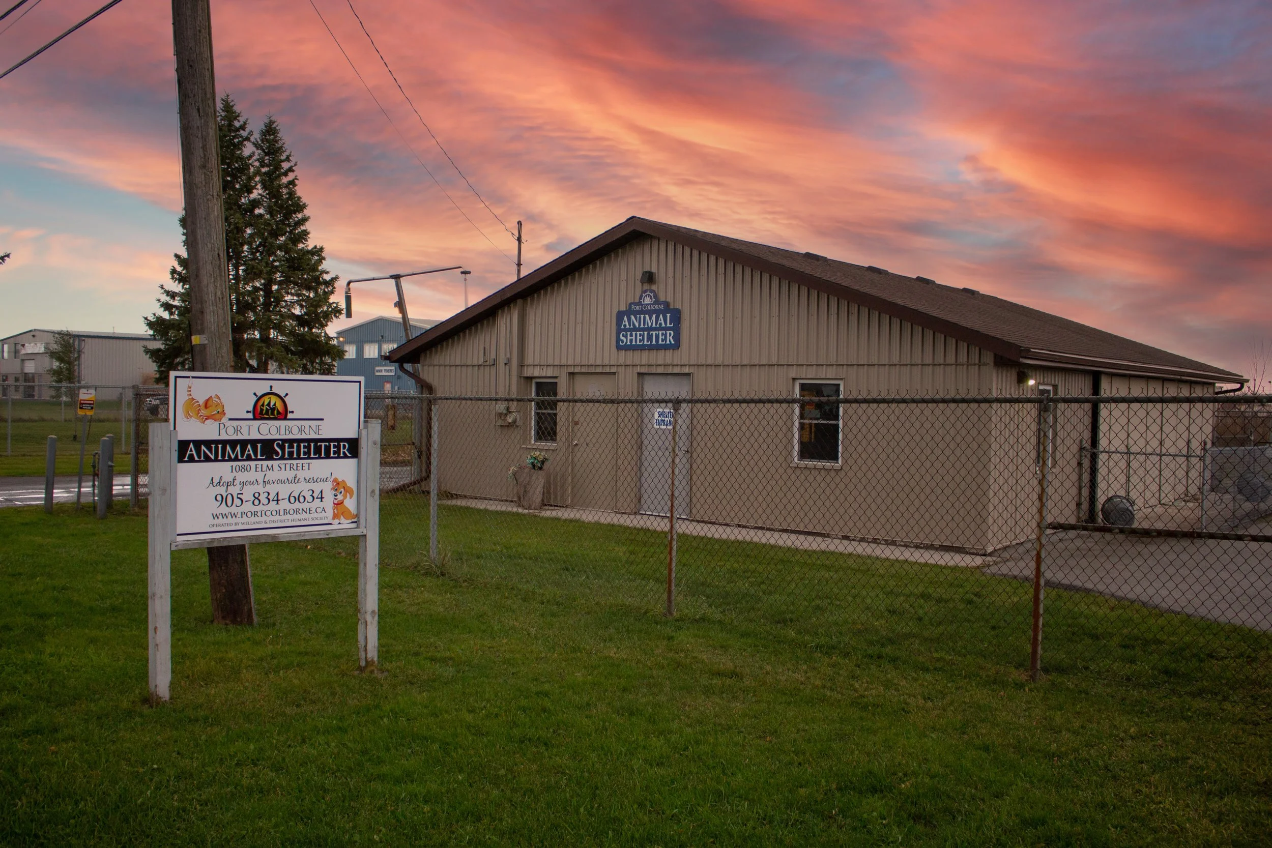 Wellness Clinic | Niagara SPCA and Humane Society | Schedule Pet Care Today