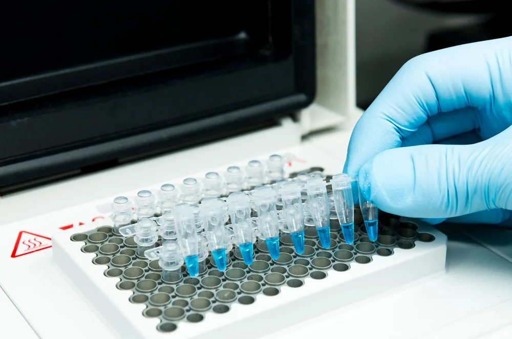 Inhibit inhibition: PCR inhibition and how to prevent it — BioEcho Life ...