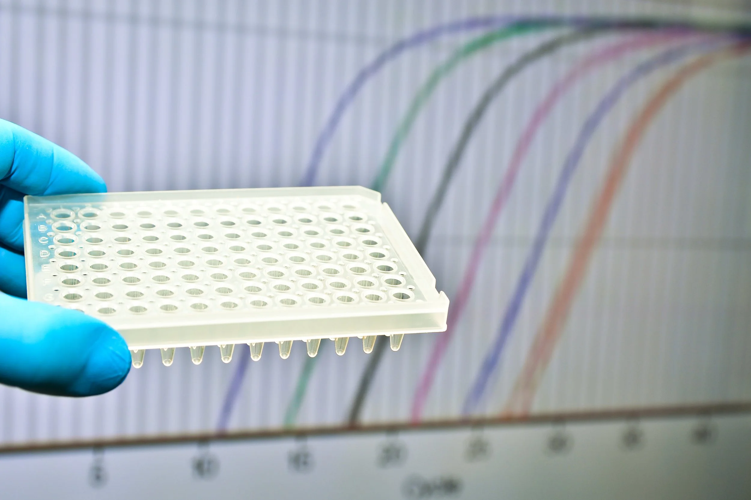 Low input or inhibition? Quantitative approaches to detect qPCR ...