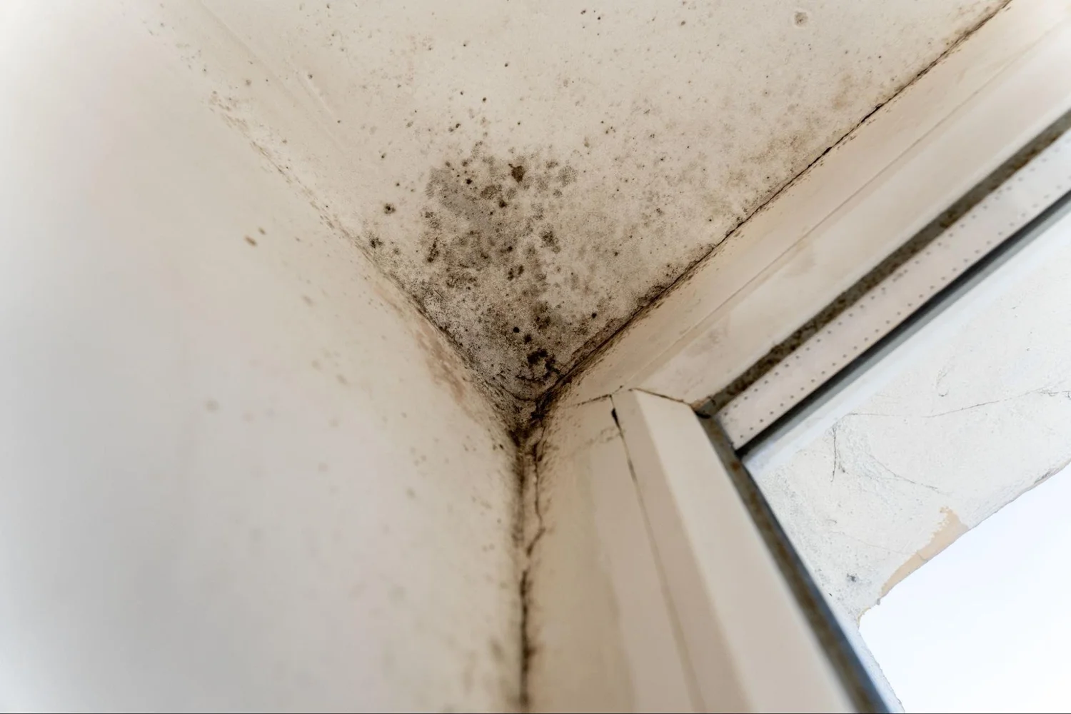 Is My House Making Me Sick? Understanding Sick Building Syndrome and ...