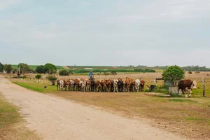 Our Story | 140 Years of Family Farming | Bridge Moore Lodge — Bridge ...