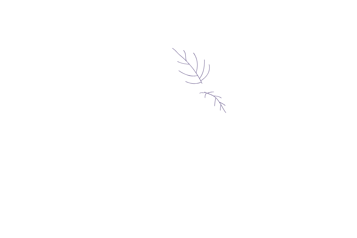 Website Design — Regan Marketing Co