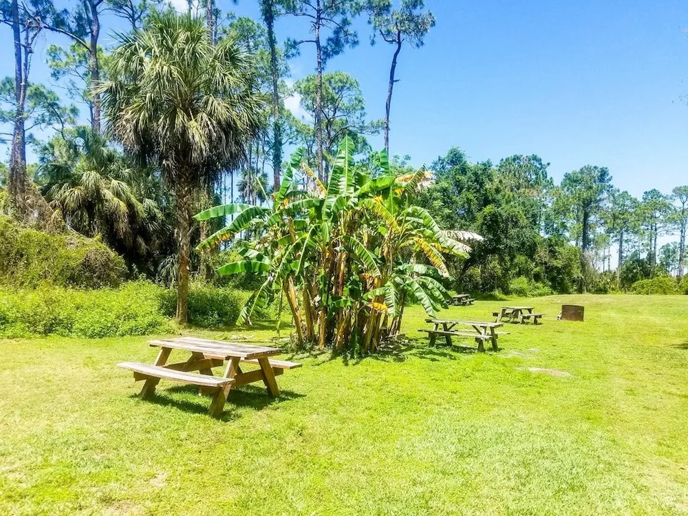 Primitive Camping | Discover Rustic Camping – Book Today — Mary's Fish Camp