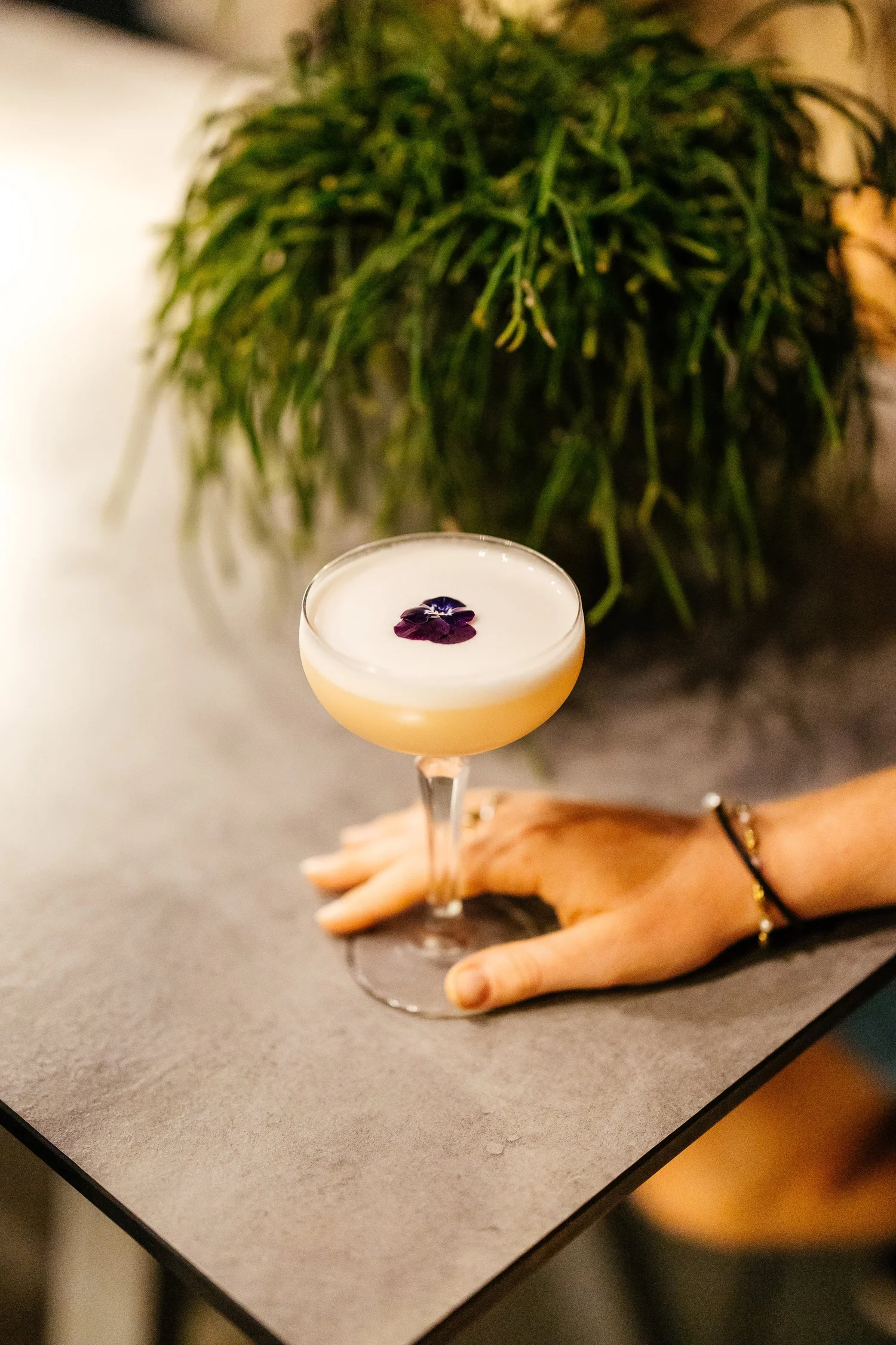 Folly Perth | Perth's Best Rooftop Bar