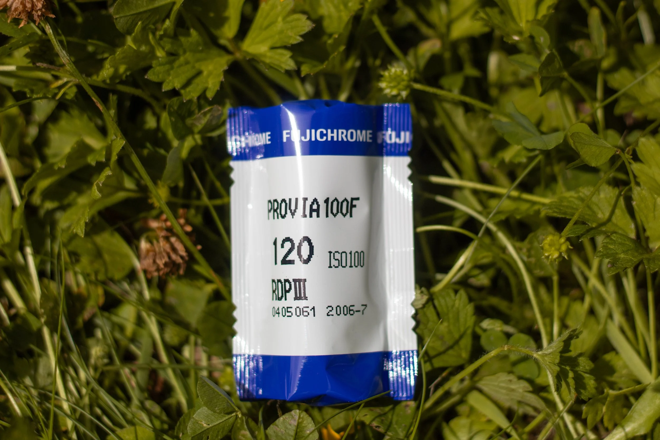 Expired Provia 100F 120 Slide Film — Kiwi Camera Smith