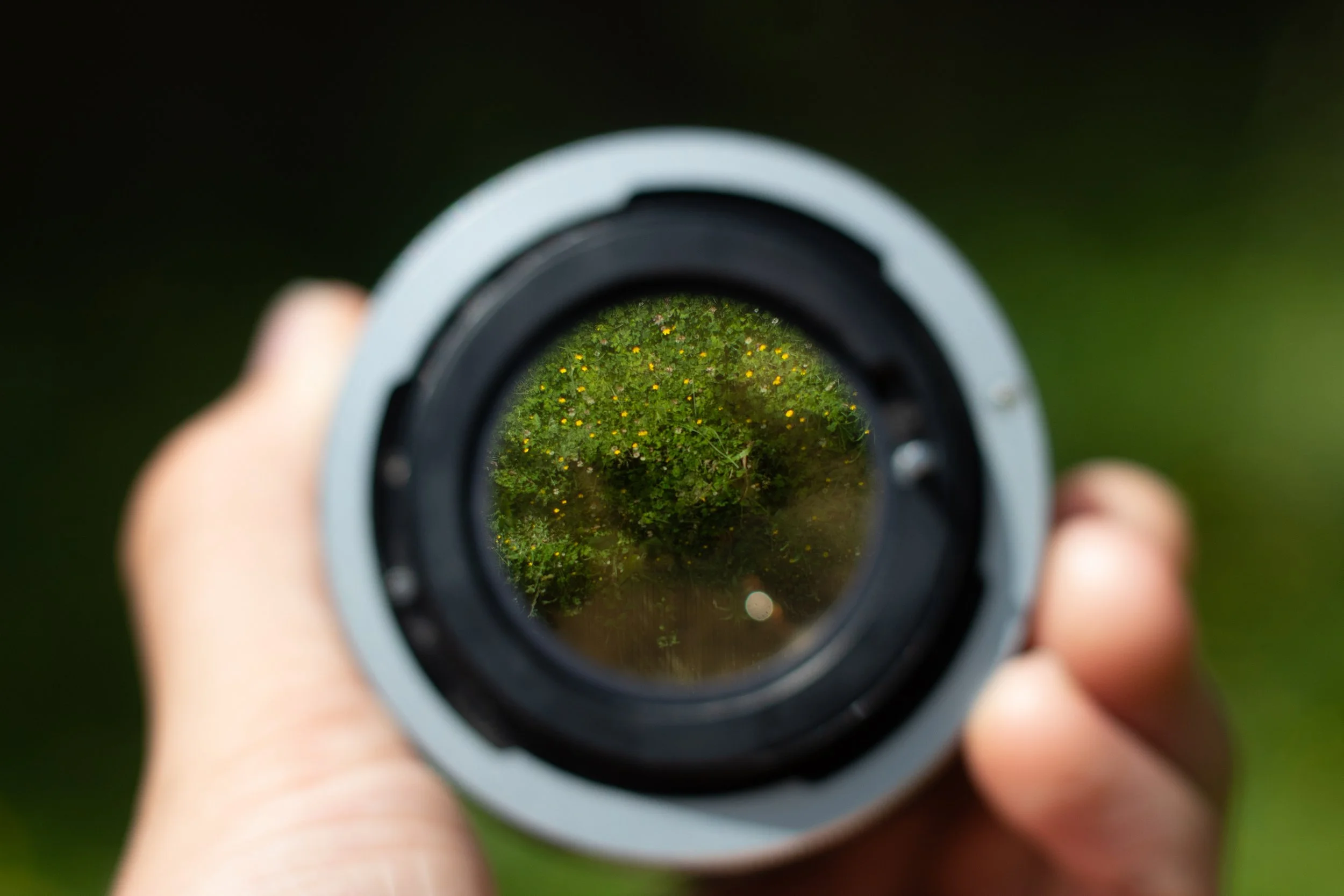 Canon 58mm 1.2 FL Mount Lens — Kiwi Camera Smith