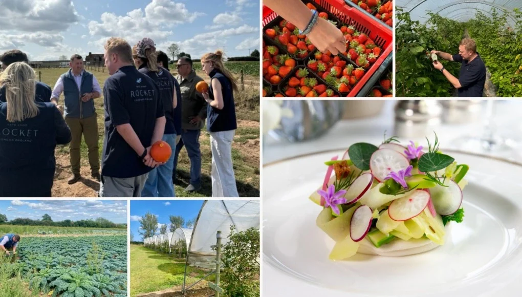 From Farm to Fork: The Journey Behind Our Menus | Rocket — Rocket Food