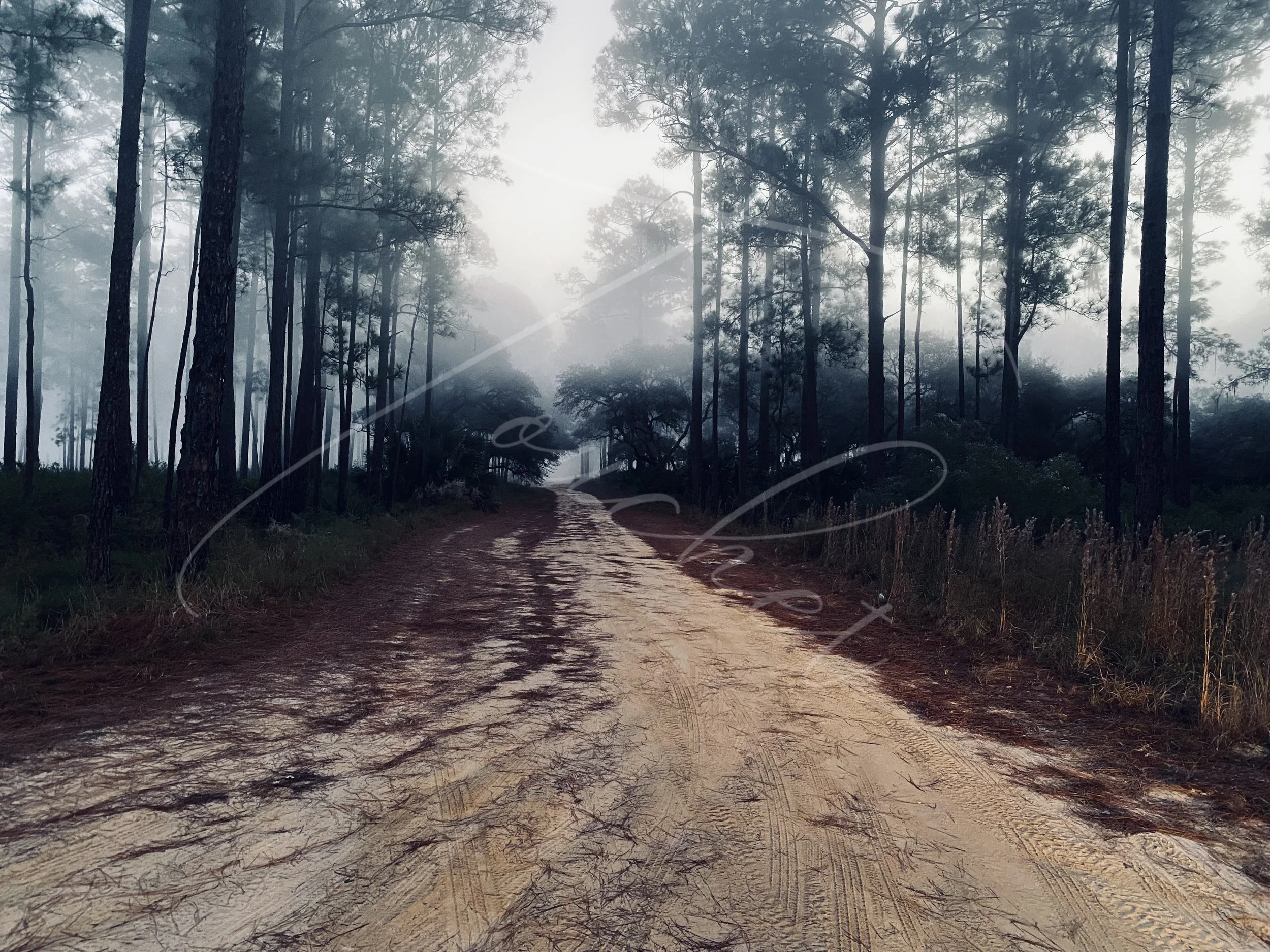 Old Dirt Road — Touchet Art