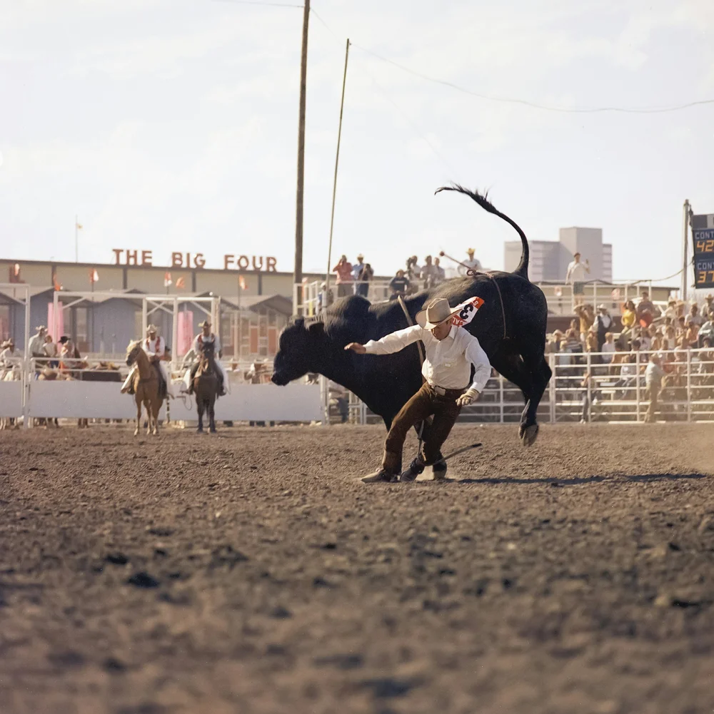 State Fair of Nevada | Join the Celebration