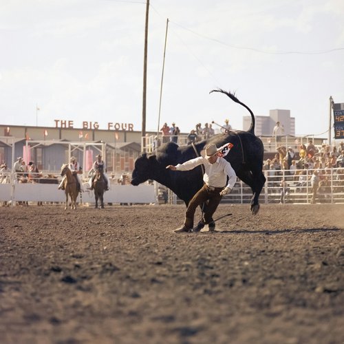 State Fair of Nevada | Join the Celebration