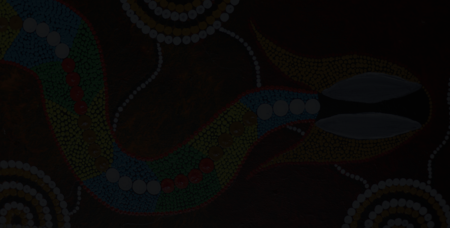 Home | Civil Equipment Hire