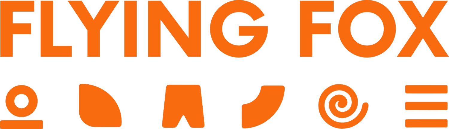 Flying Fox | Fun is a human right - Get Involved Now