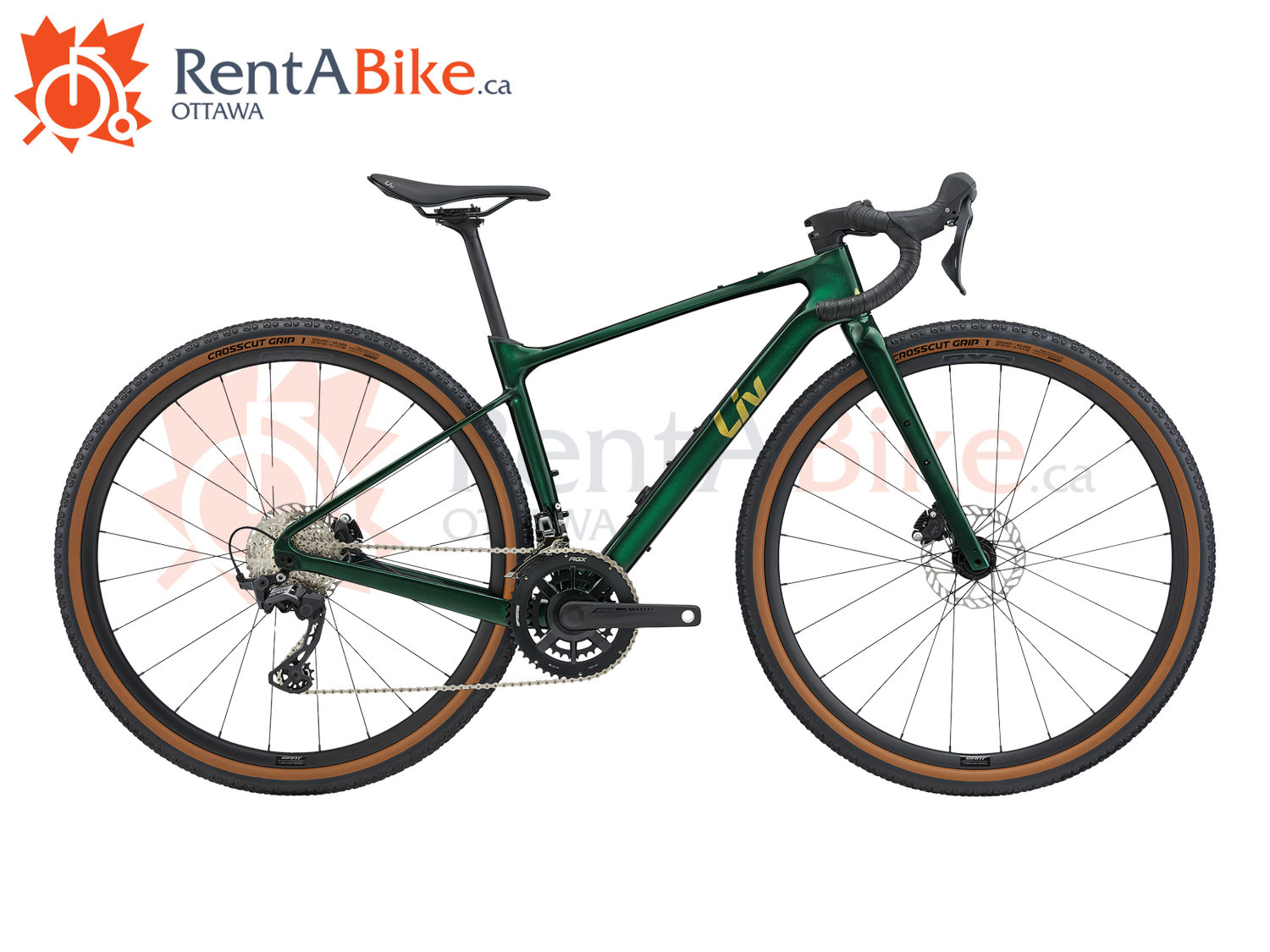 Liv Devote Ad — RentABike