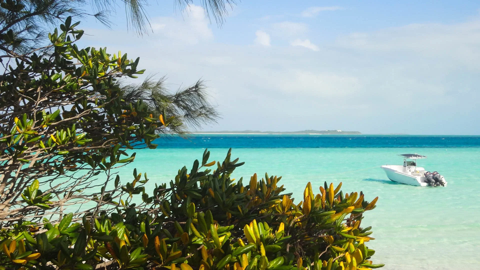 Moving to the Bahamas? Which Island: The Exumas vs Harbour Island vs ...