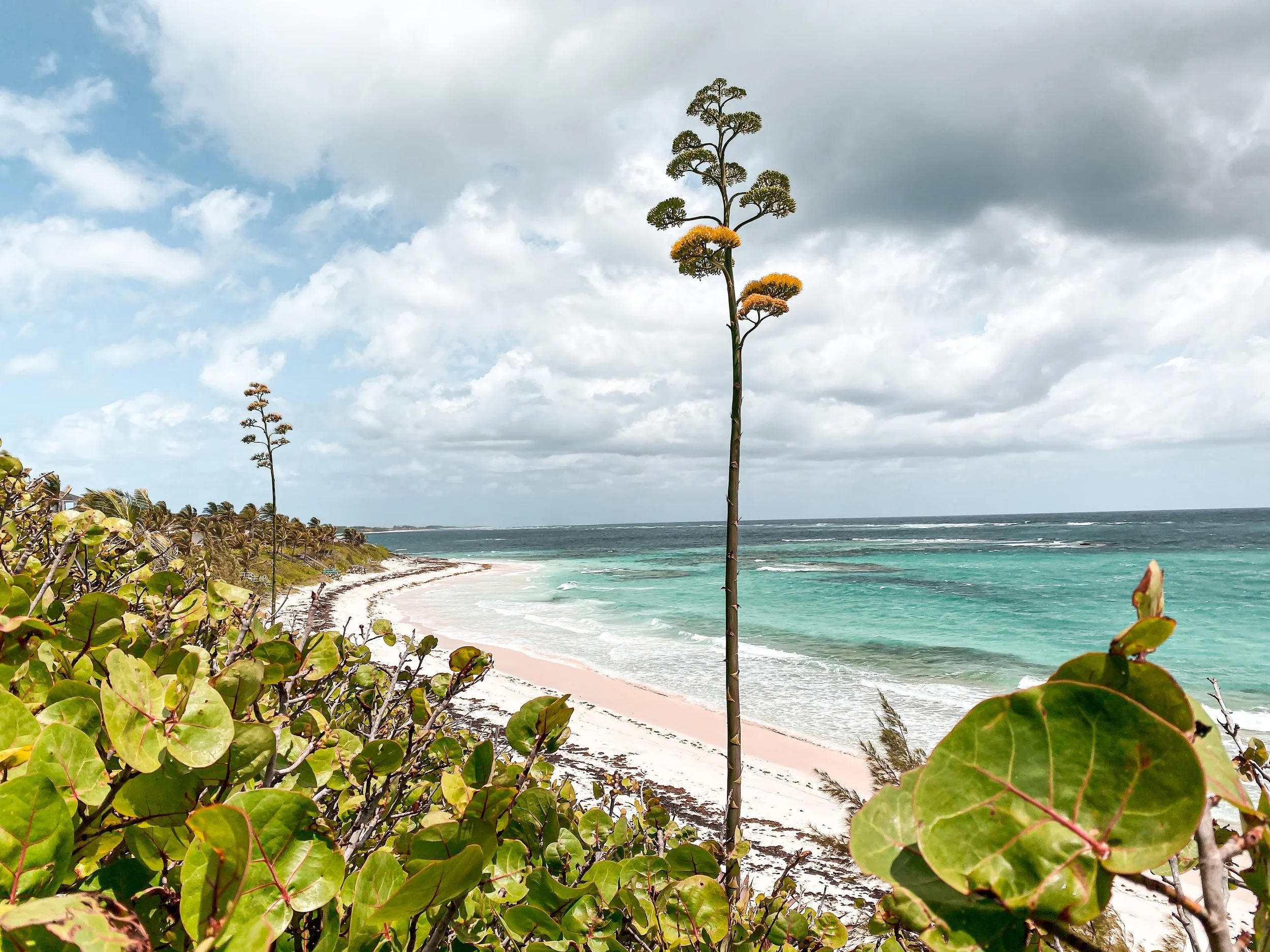 Eleuthera | Explore Eleuthera — Discover & Experience — Out Island Life ...