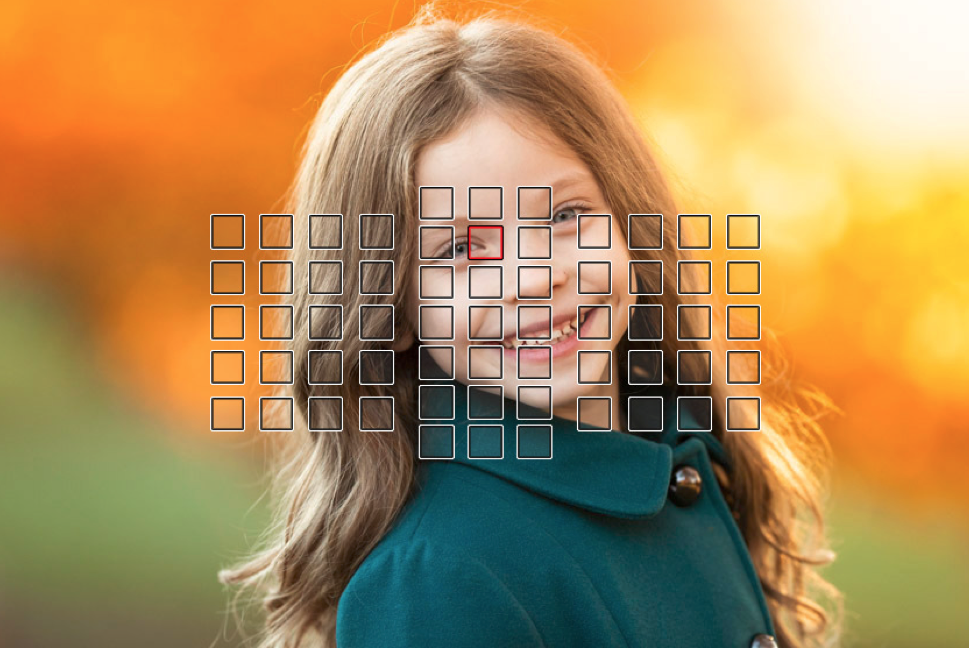 Camera Focus Problems: How to Take Sharper Photos — Your Site Title
