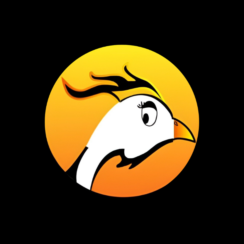 POULET FRIT MANIAQUE