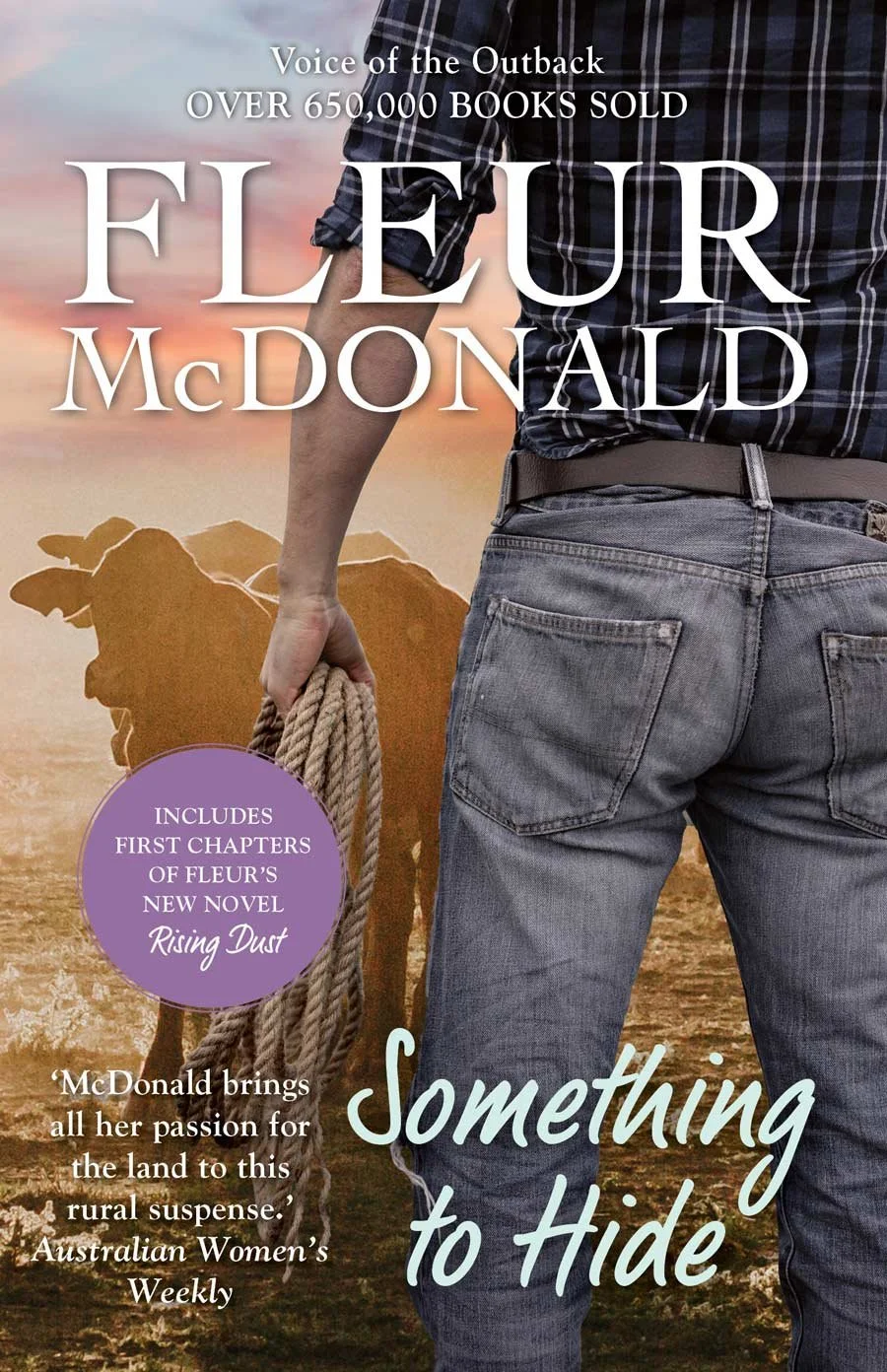 Something to Hide Book 4 Detective Dave - Fleur McDonald