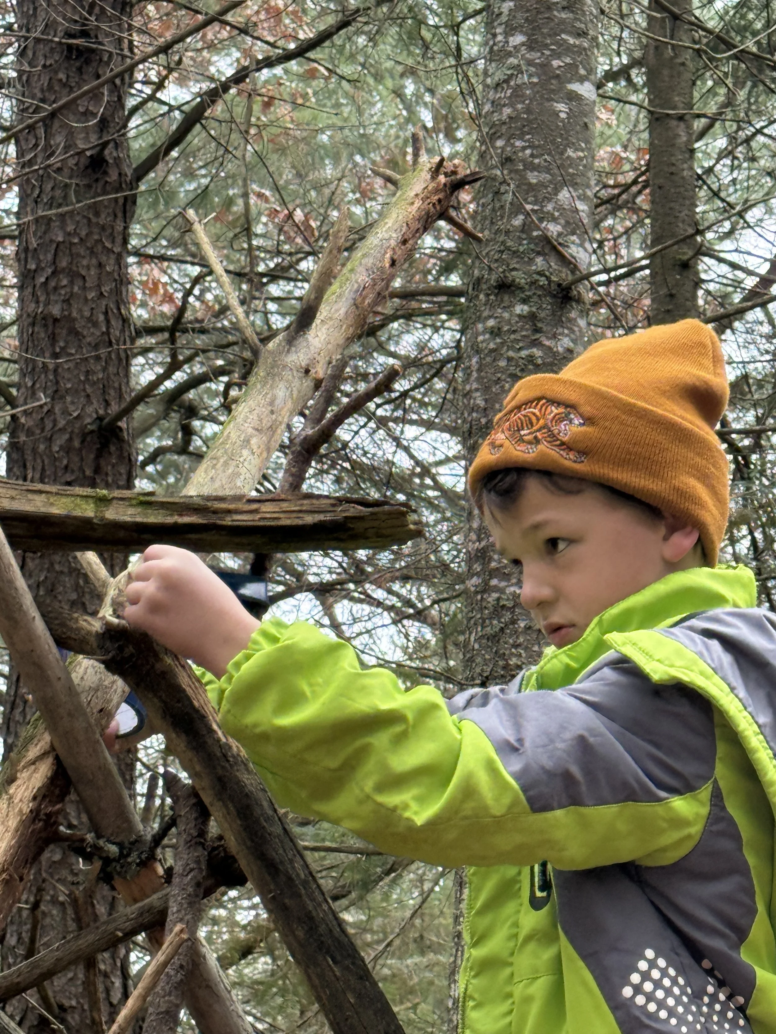 Why Nature-Based Education | Explore Nature-Based Learning Today ...