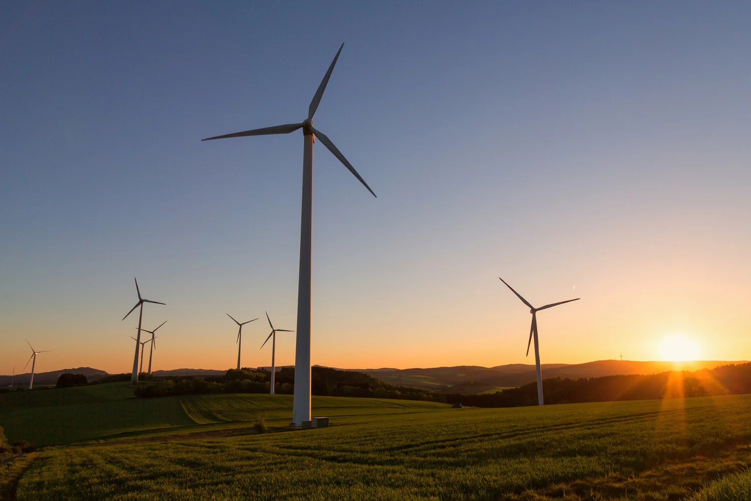 The Project — Tarong West Wind Farm