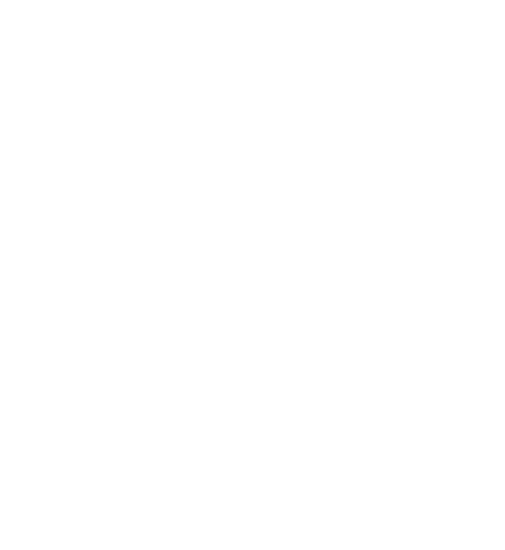 Island Adventure Cart Rentals
