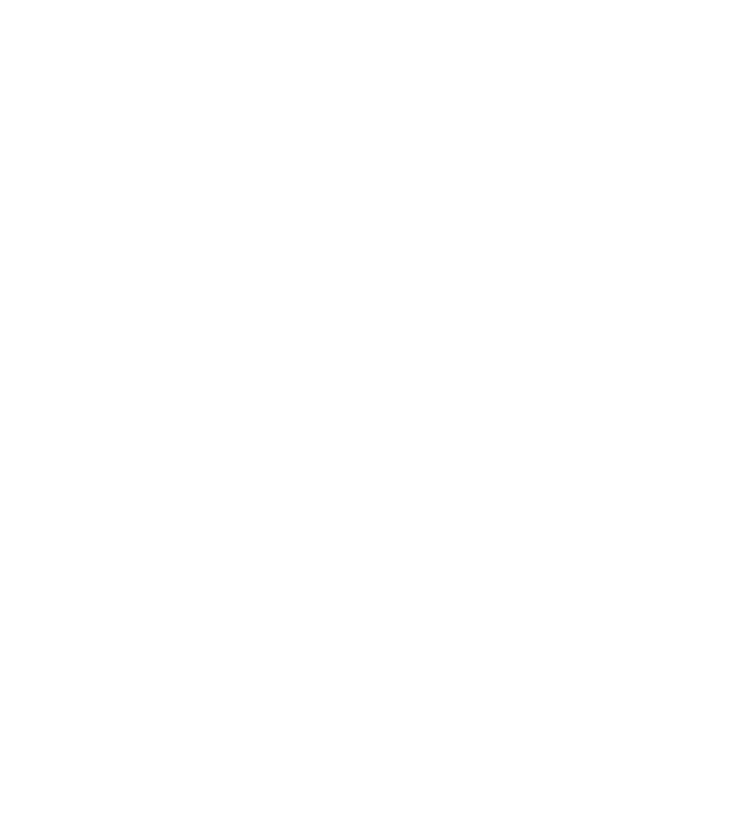 Island Adventure Cart Rentals