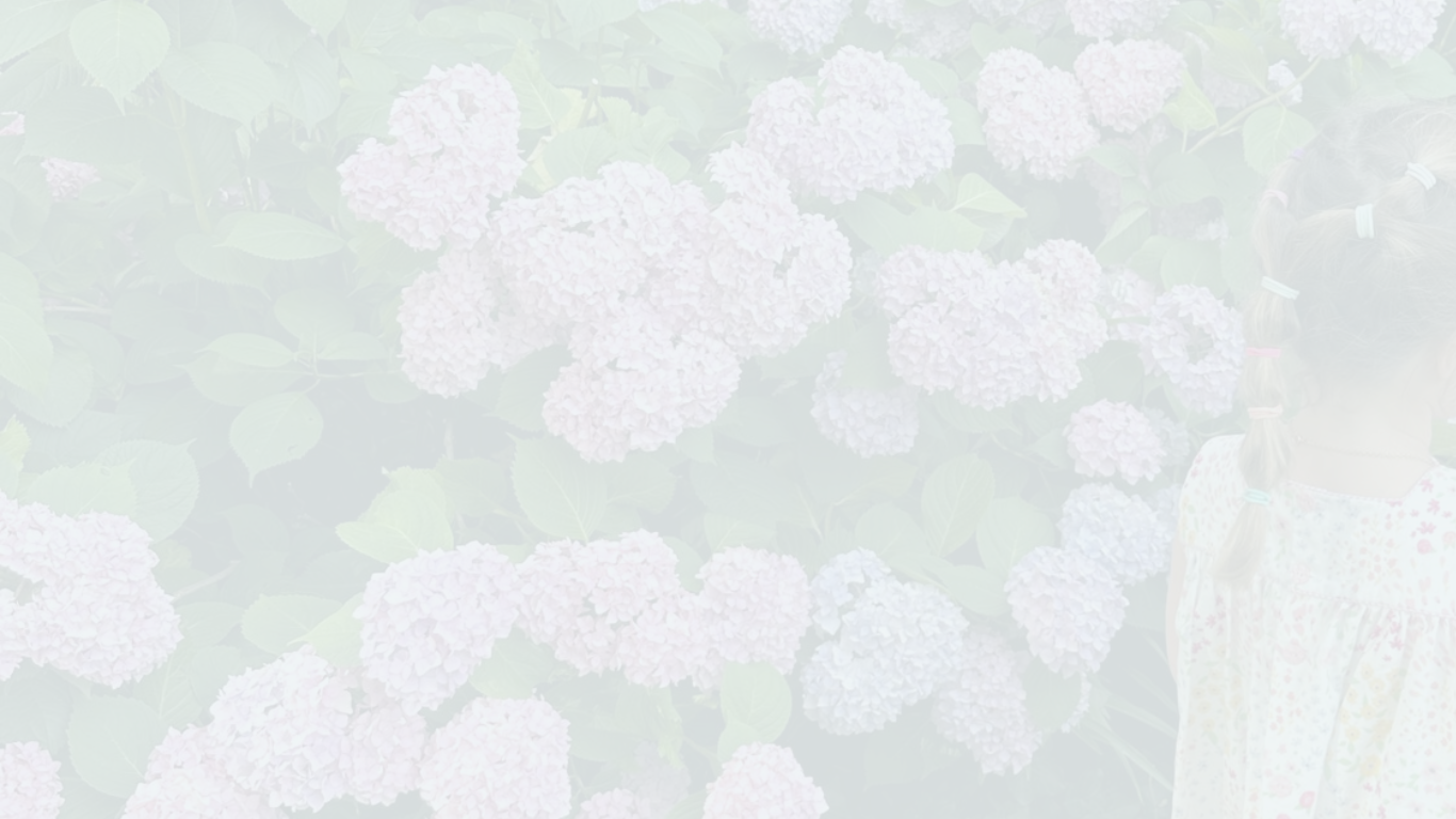 Application Information — Nanny Network