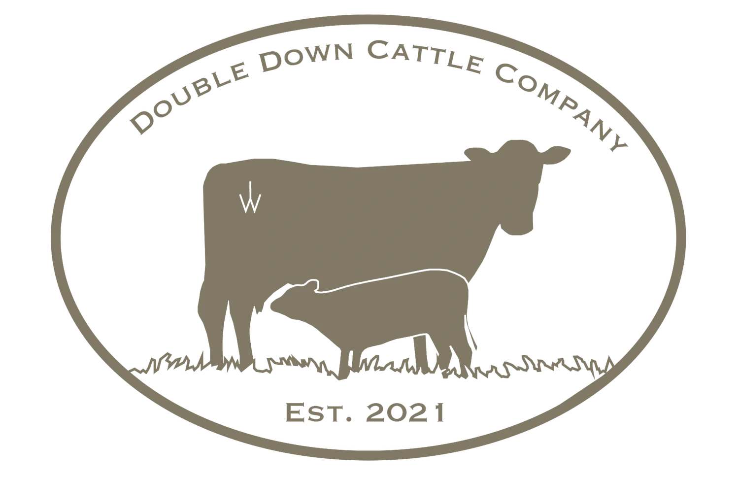 MMW Elite Cattle Guard — mcvaymobilewelding