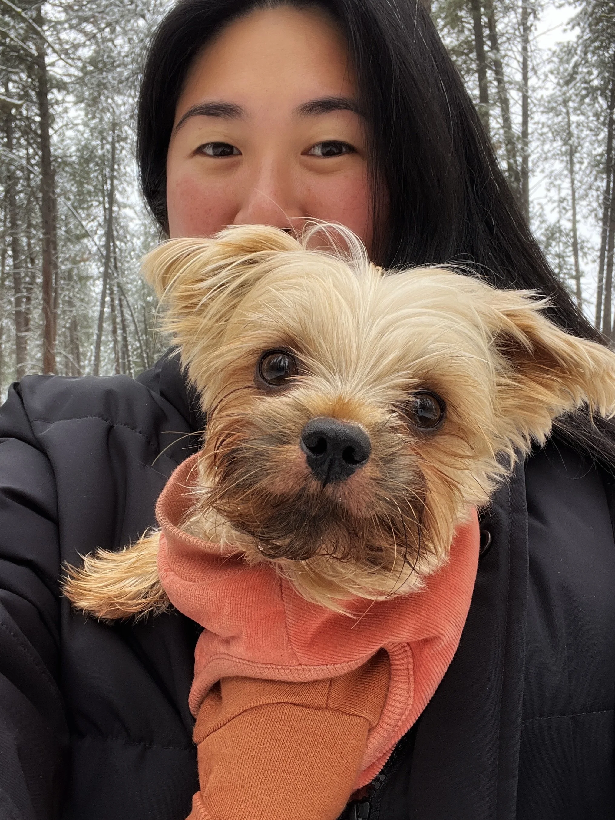 I Thought Dentals Were Optional - until Ruby — Cheney Veterinary Clinic