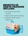 why is crate training YOUR dog SO important? — The Happy Pet Project