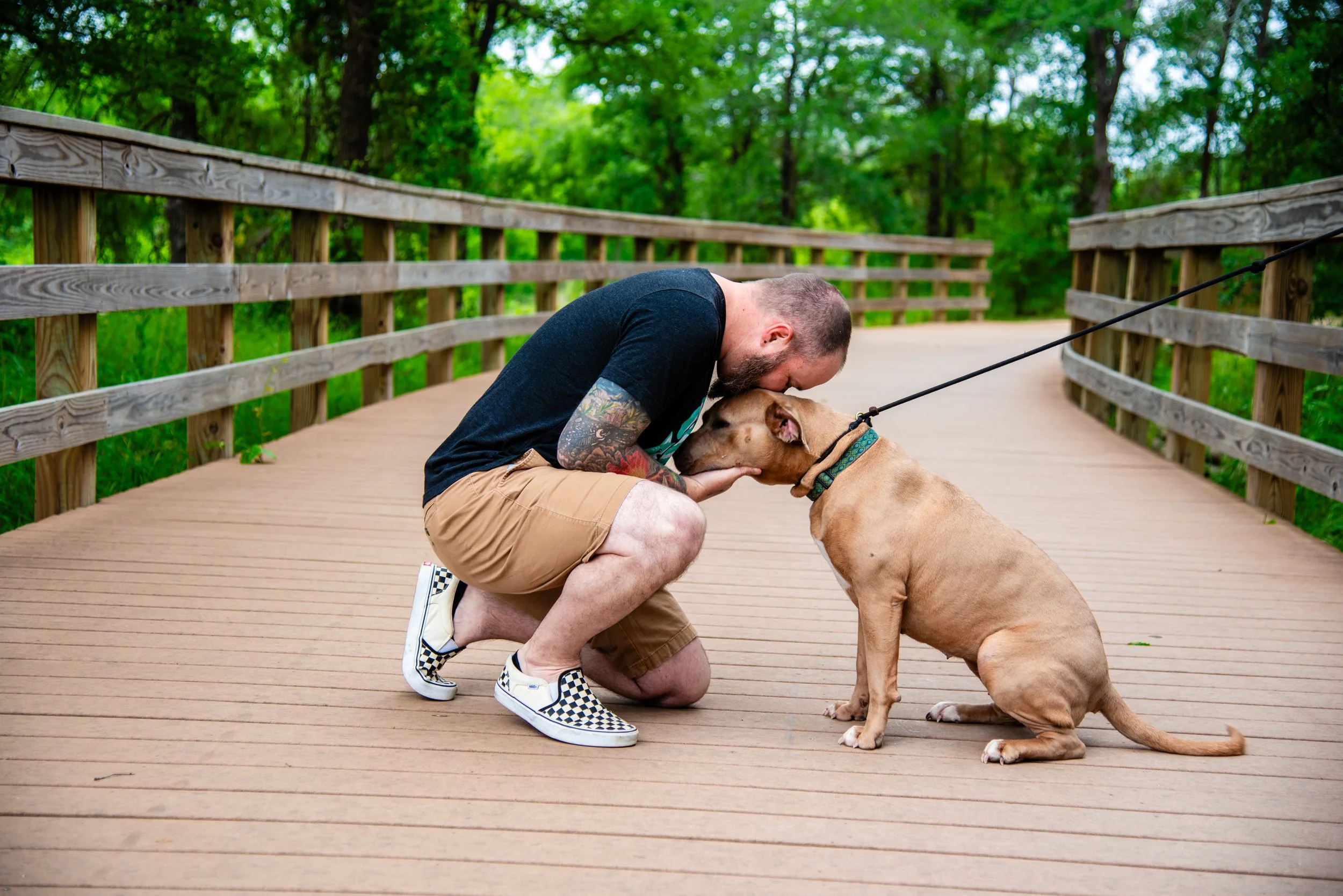 volunteer opportunities — The Happy Pet Project