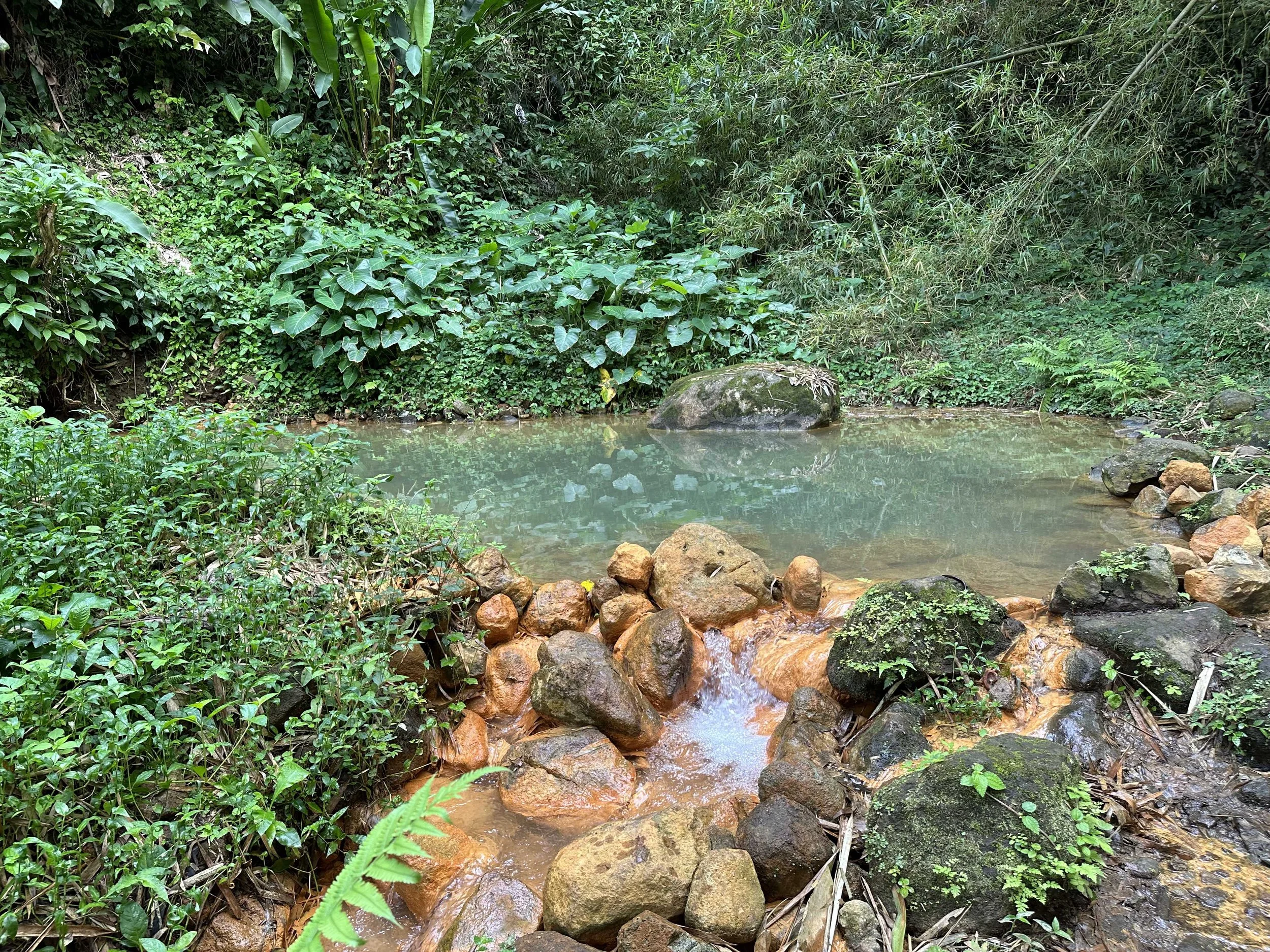 Quiet Tropical Destinations for Introverts: Barbados, Costa Rica ...