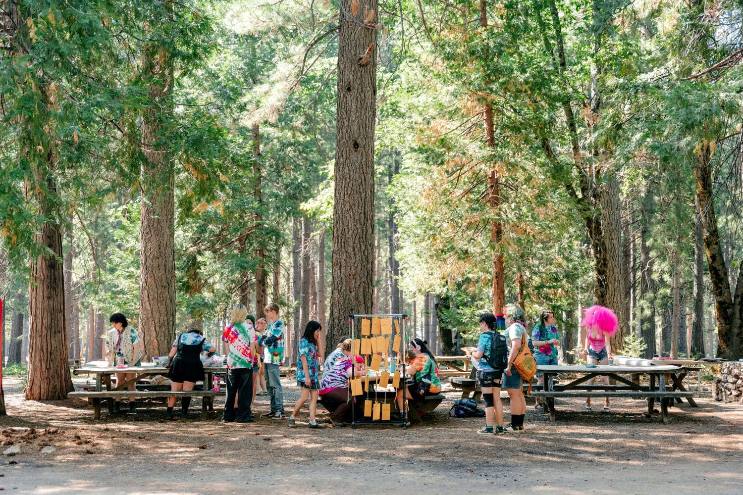 Camp Lavender