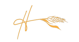 The Harvest and Table Restaurant | Experience Fresh Flavors Today