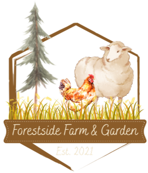 Forestside Chat: How Failures Lead to Lessons — Forestside Farm ...