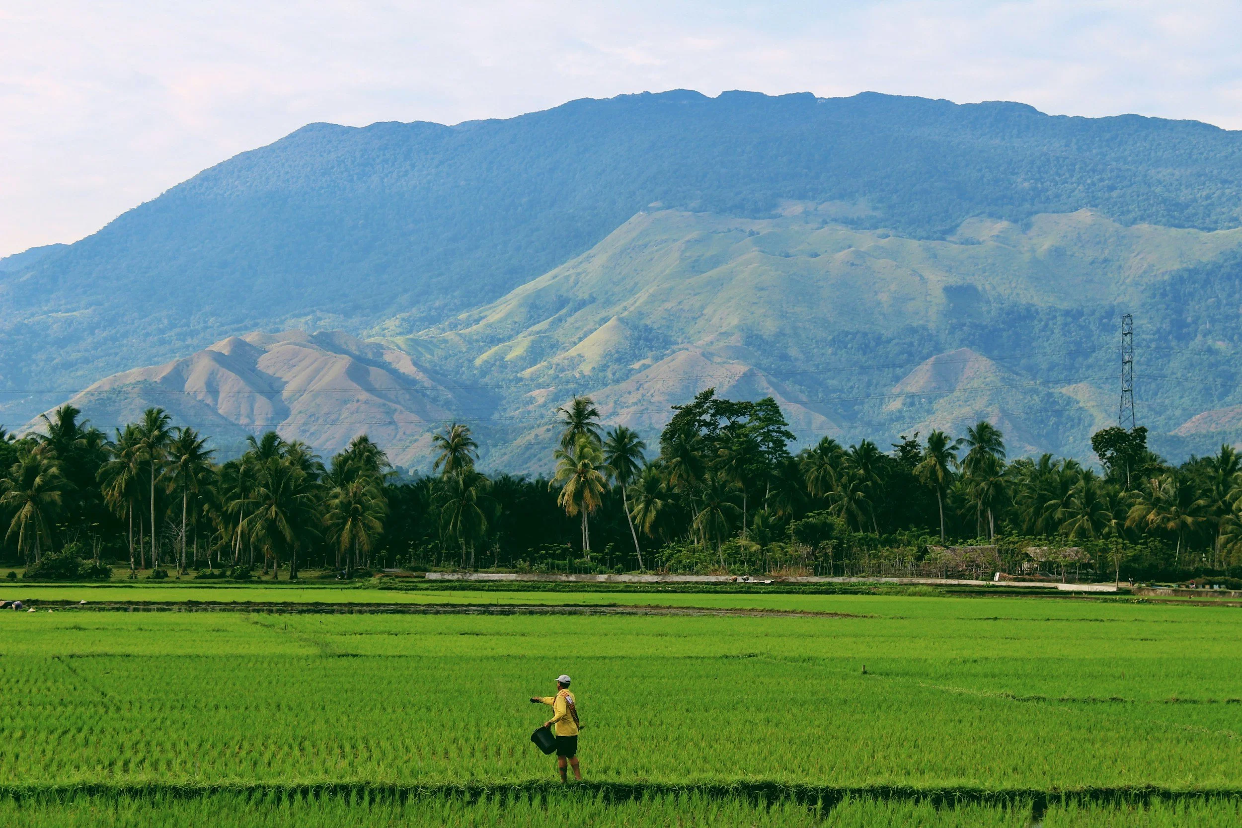 Social & Environmental Impact: Sustainable Biofuels & UN SDGs Alignment ...