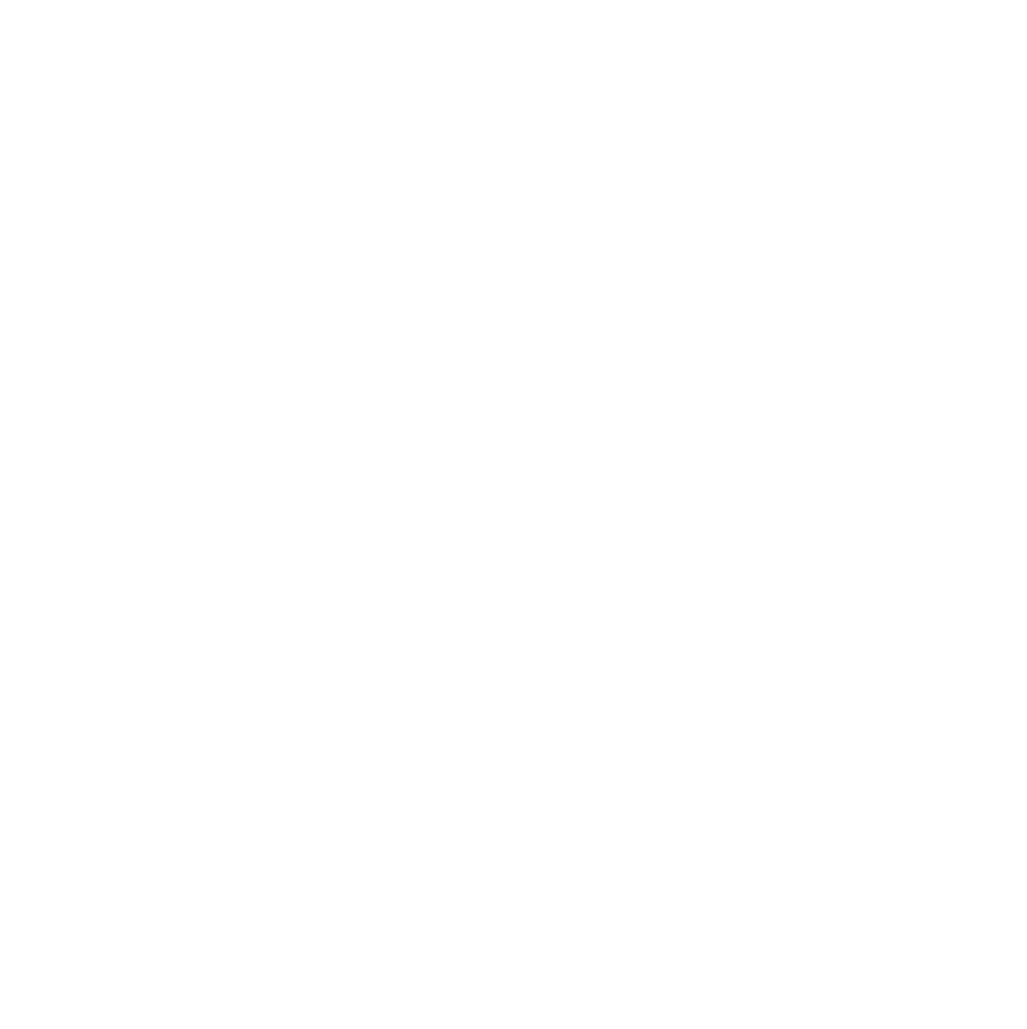 ENGAGING Wisdom | Transform Leadership — Act Now