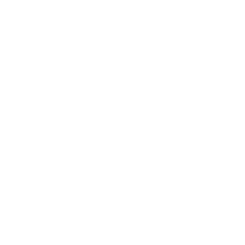 ENGAGING Wisdom | Transform Leadership — Act Now