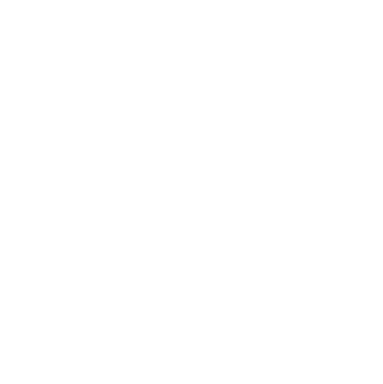 ENGAGING Wisdom | Transform Leadership — Act Now