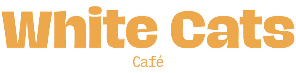 White Cats Cafe | Relax with Cats – Visit Today