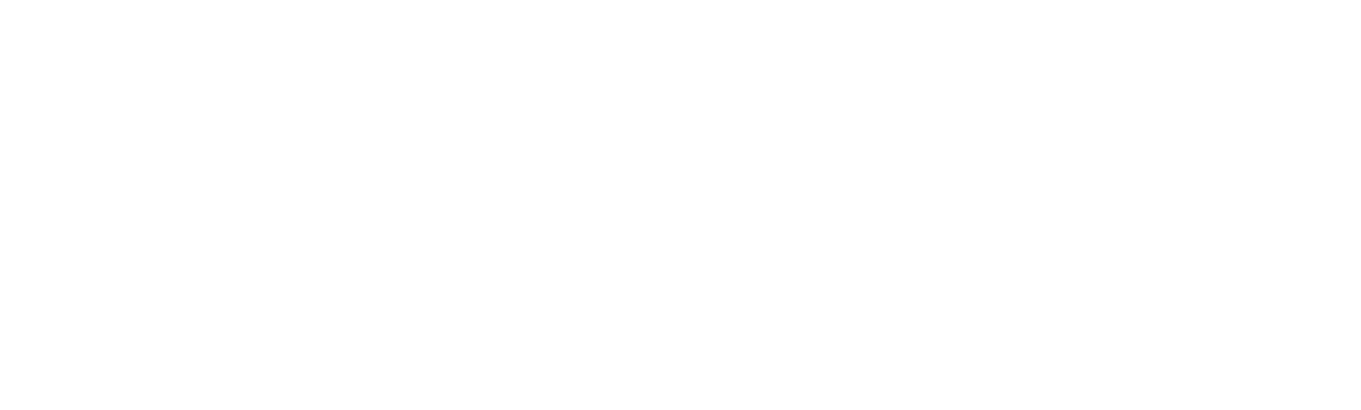 Orion Bikes