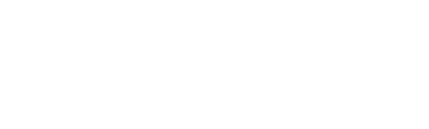 Orion Bikes