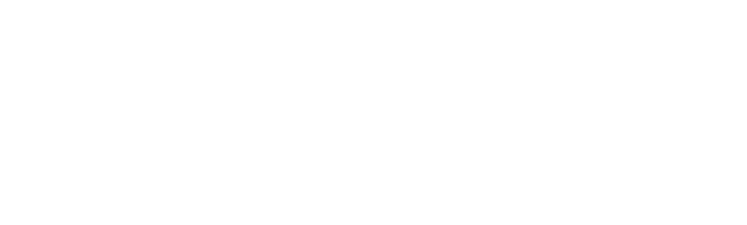 Orion Bikes