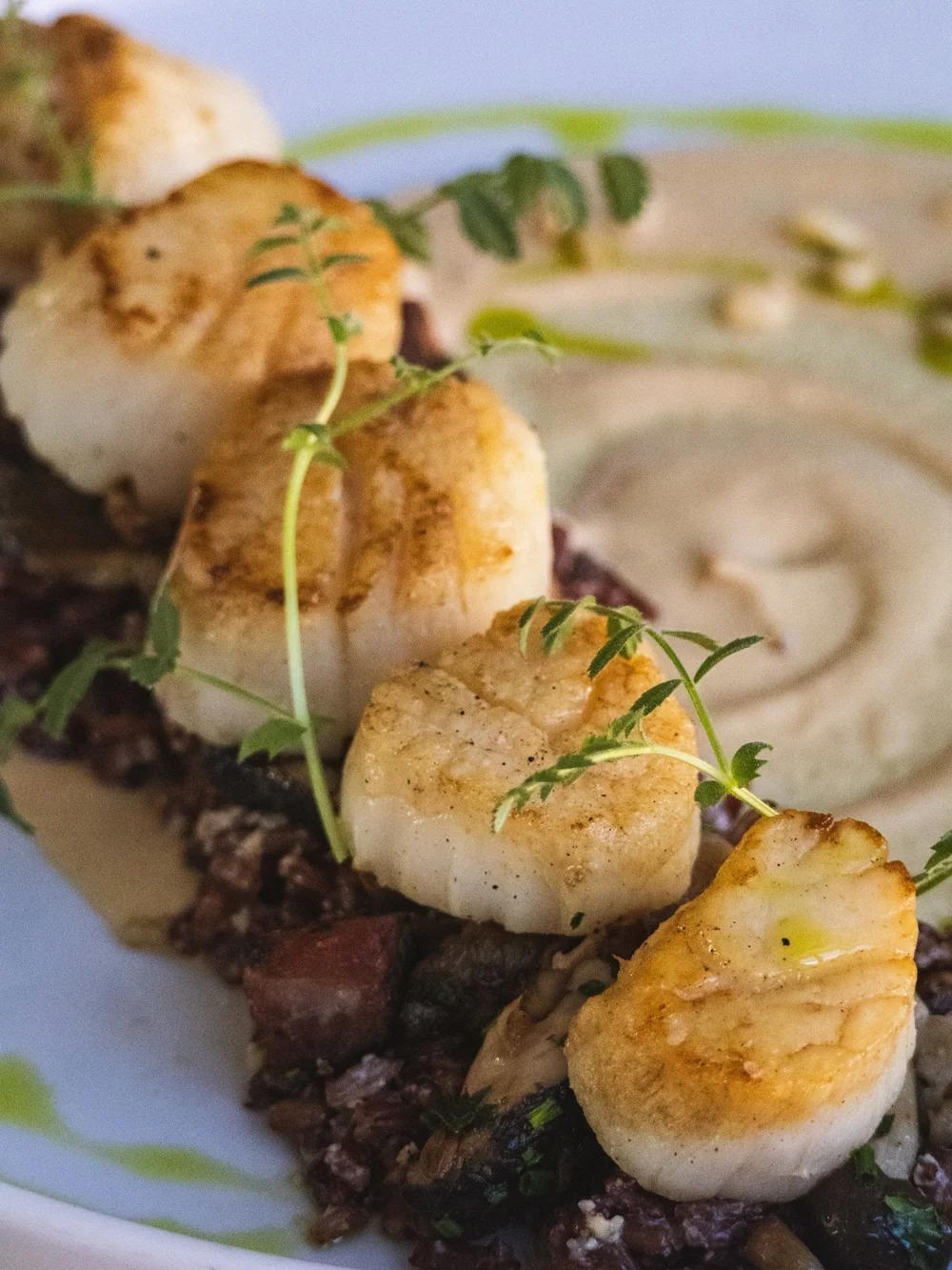 Restaurant: Coyote Cafe — Santa Fe Restaurant Week