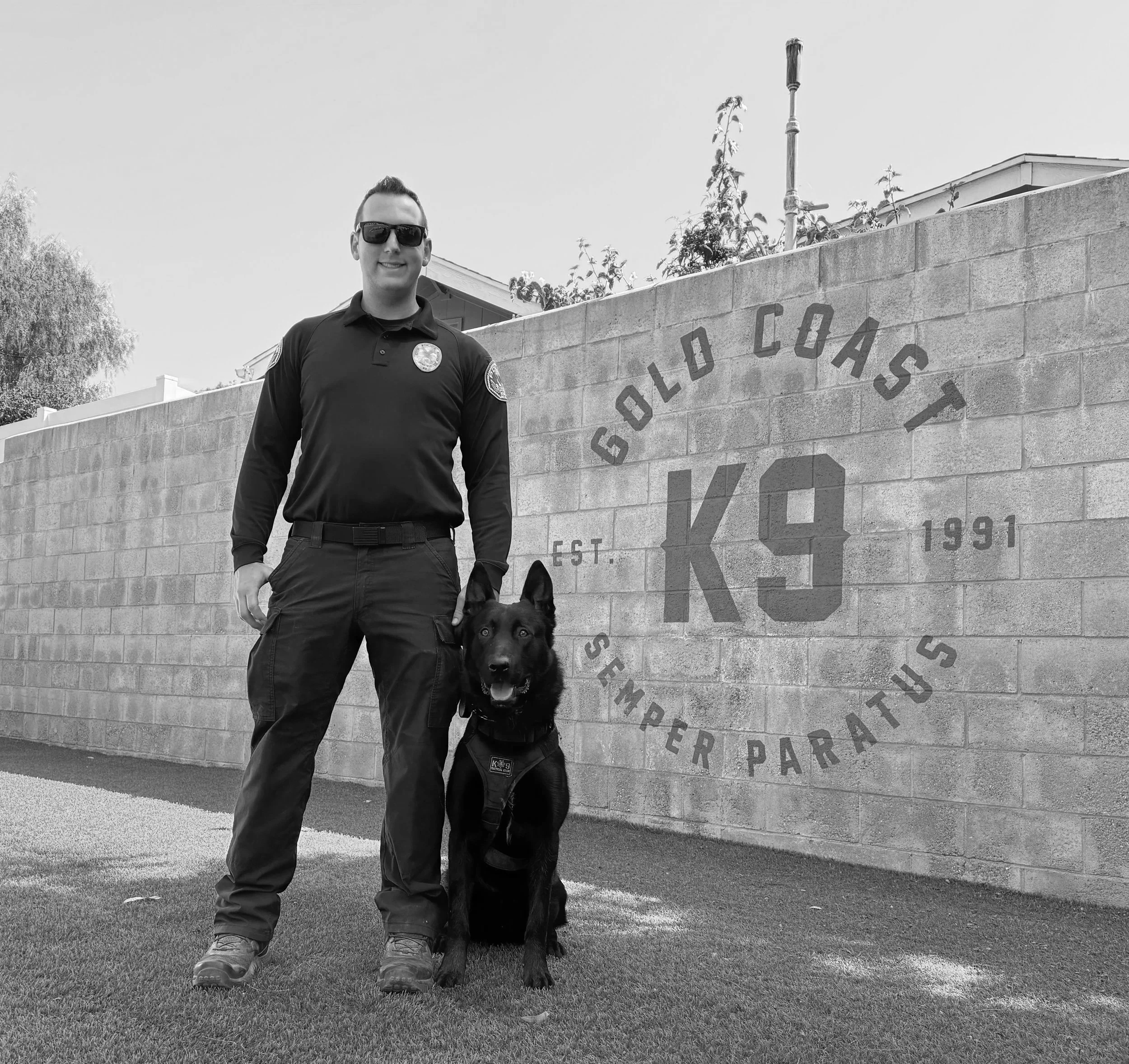 Elite K9 Training & Protection Dogs | Gold Coast K9 | Moorpark, CA