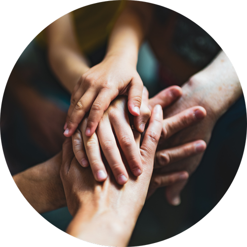 Clarity Integrated Wellness