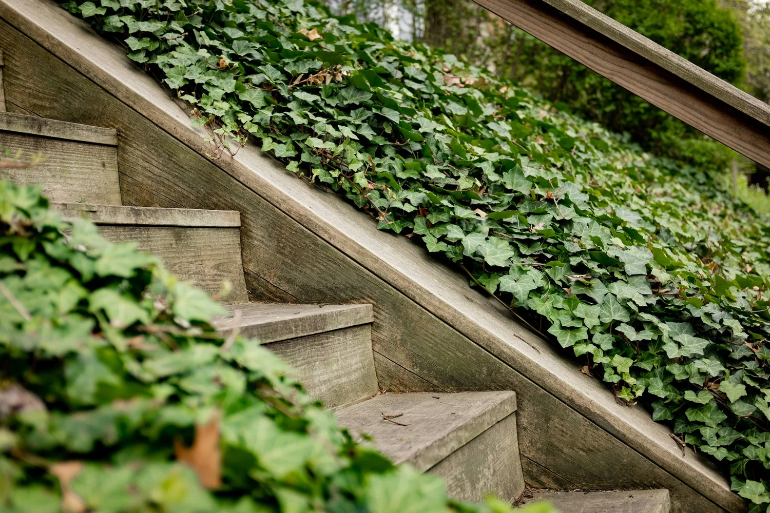 How to Apply Now — Steady Steps Housing